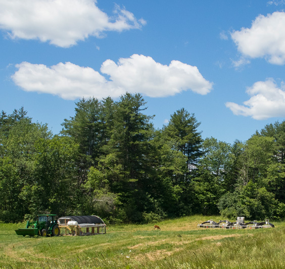 The Youthful Return of the Family Farm