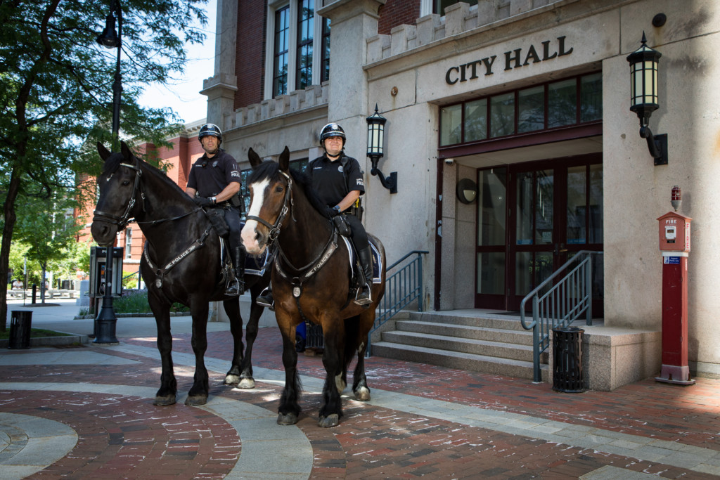 Getting to know Manchester's Mounted Police team