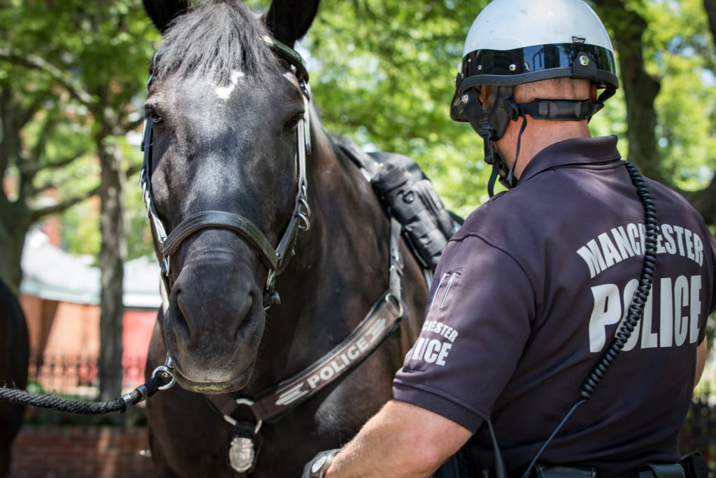 Getting to know Manchester's Mounted Police team