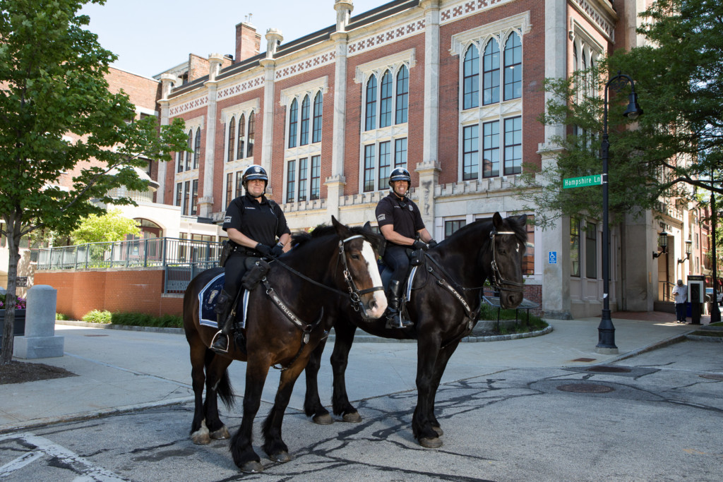 Getting to know Manchester's Mounted Police team