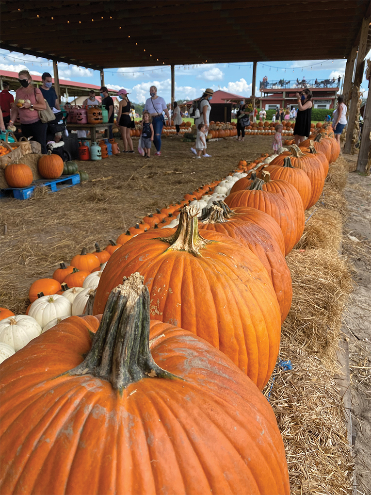 2022 Orlando Ultimate Farm Guide - Orlando Magazine