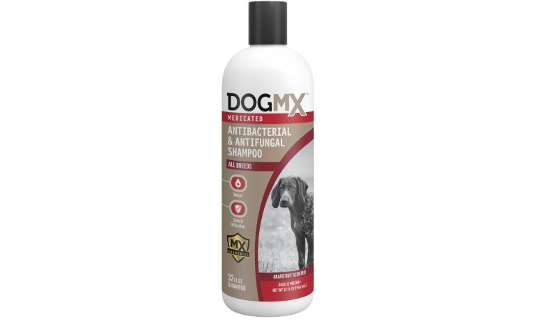 10 Best Medicated Dog Shampoos for Skin Allergies - Orlando Magazine