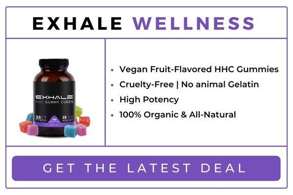 Best HHC Gummies: Top 4 HHC Edibles For Potent Effects In 2023 ...