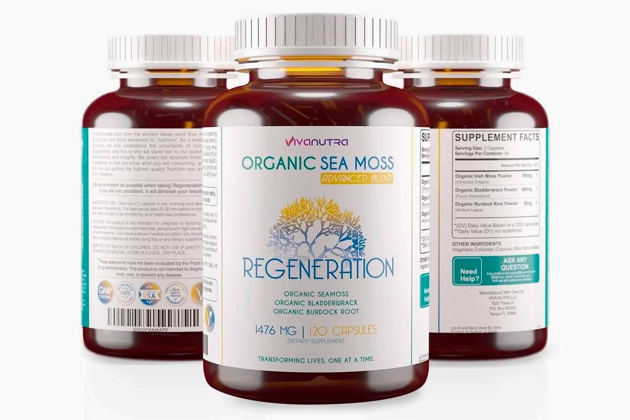 Best Sea Moss: Top Sea Moss Supplement Brands to Buy - Orlando Magazine