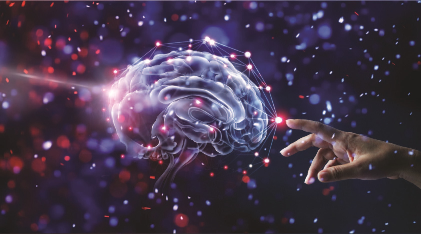 Focus On with Dr. Sadek: Understanding Psychogenic Non-Epileptic ...