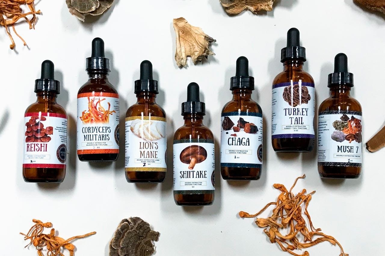 Top 11 Best Mushroom Supplements: Most Effective Product Brands to Buy - Orlando Magazine