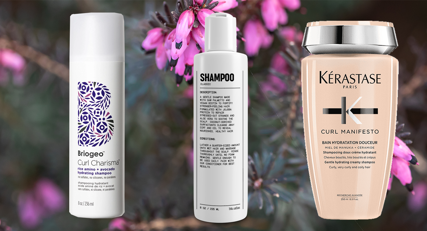 The Best Shampoos for Curly Hair - Orlando Magazine