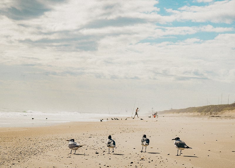 Best Beaches in Florida: St. George Island - Orlando Magazine