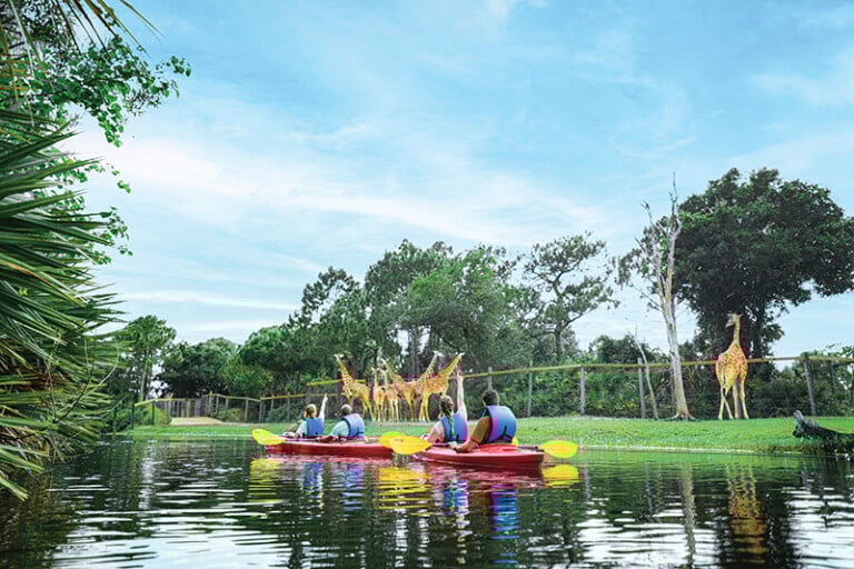 The Best Experiences At Brevard Zoo - Orlando Magazine