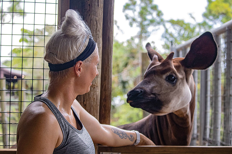The Best Experiences At Brevard Zoo - Orlando Magazine