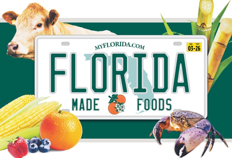 Florida Made Foods: A History And The Citrus Industry Today - Orlando ...