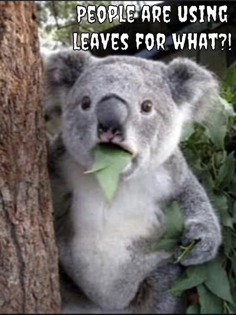 10 COVID-19 Memes that will Bring a Smile to Your Face | Pittsburgh ...