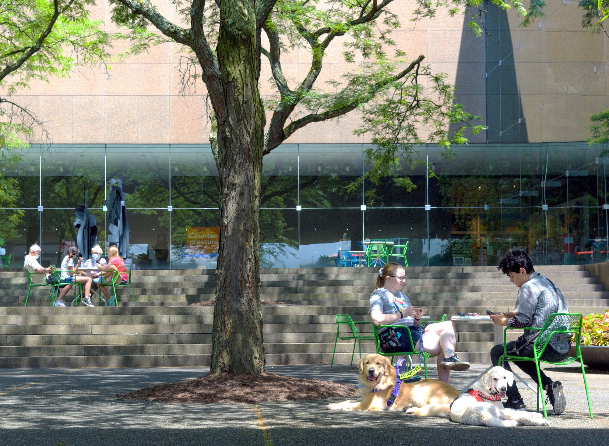 Teens Get in Free Under New Carnegie Museums Membership Program ...