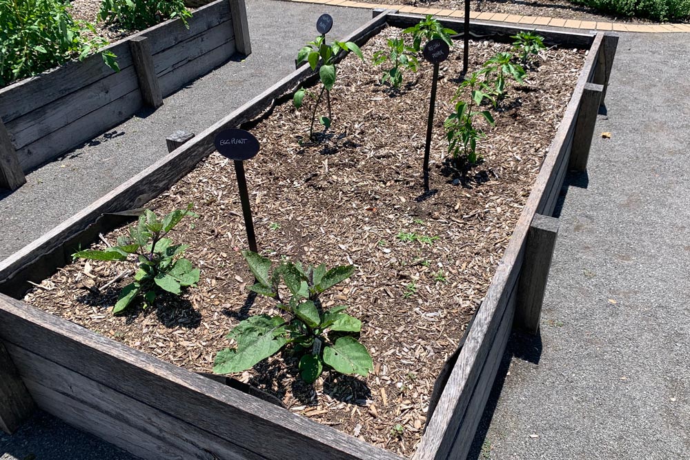 Why the From Slavery to Freedom Garden is More Than Just Vegetables ...
