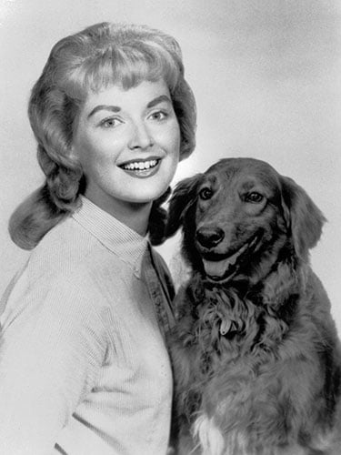 Beloved Local TV Icon Ricki Wertz, Host of “Ricki and Copper,” Dies ...