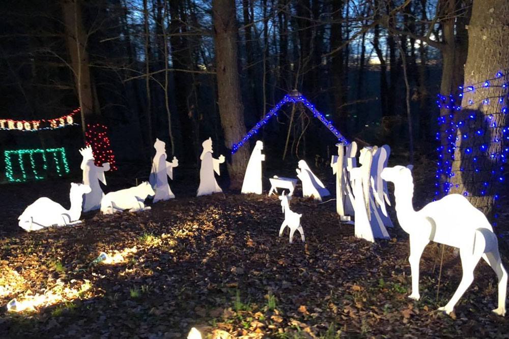 Tis the Season: Get in the Holiday Spirit with These Local Light Shows ...