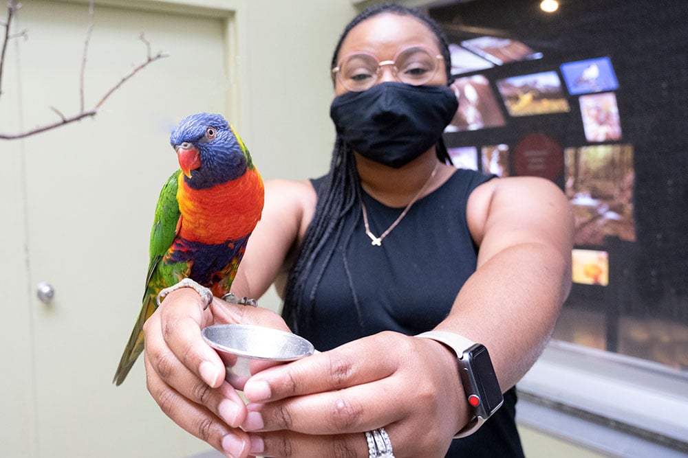 Warm Up in a Tropical Paradise This Winter at the National Aviary ...