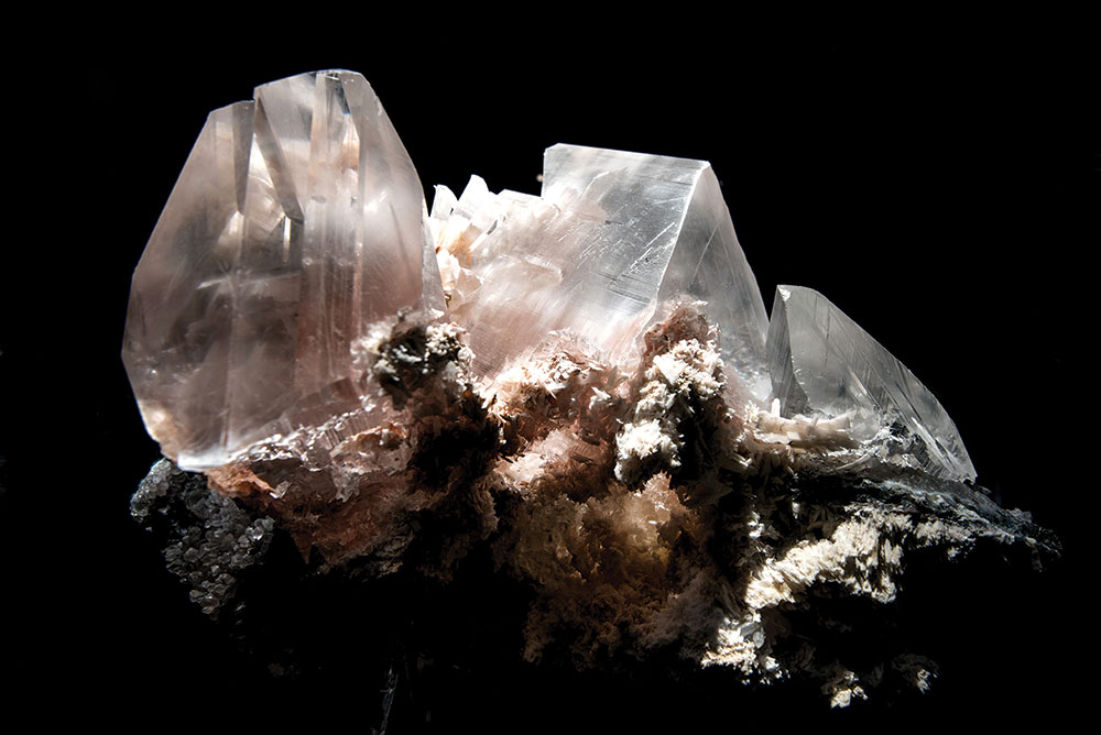 Places We Love: A Real Gem at the Carnegie Museum of Natural History ...