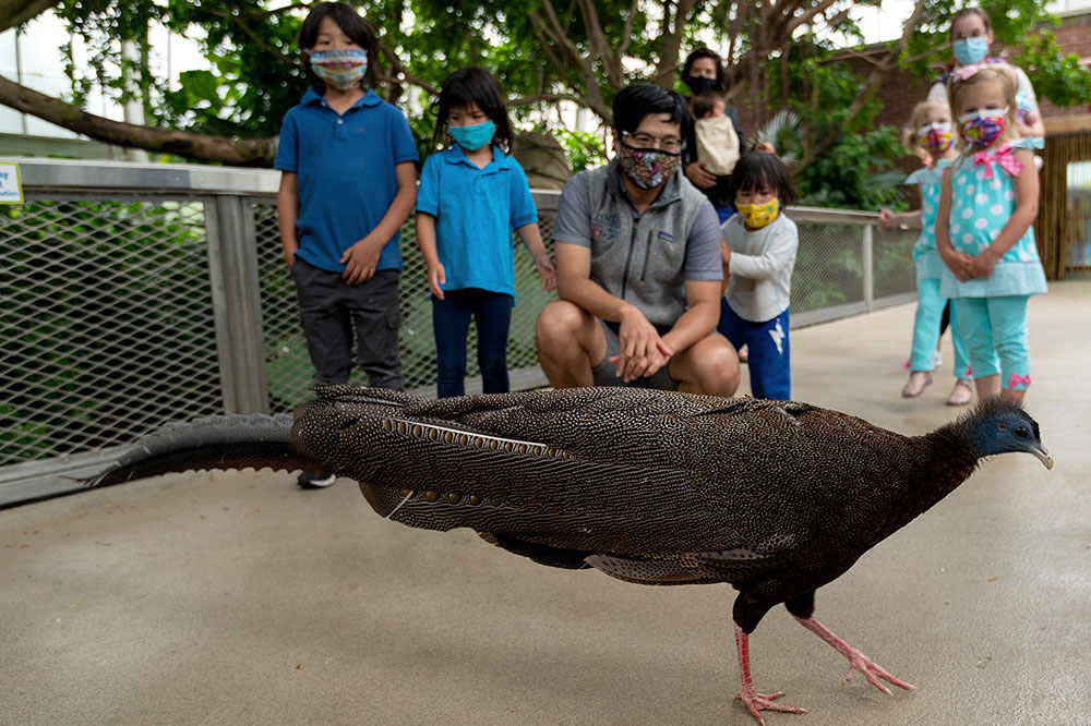 Warm Up in a Tropical Paradise This Winter at the National Aviary ...