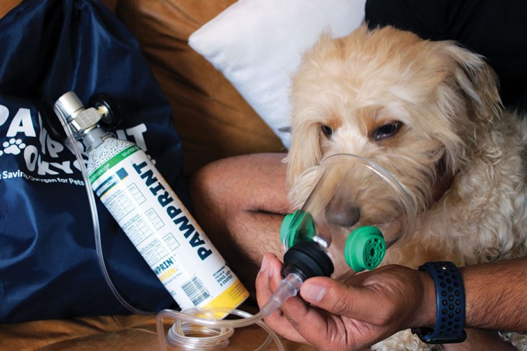The Local Company Making Oxygen More Accessible to Our Pets ...