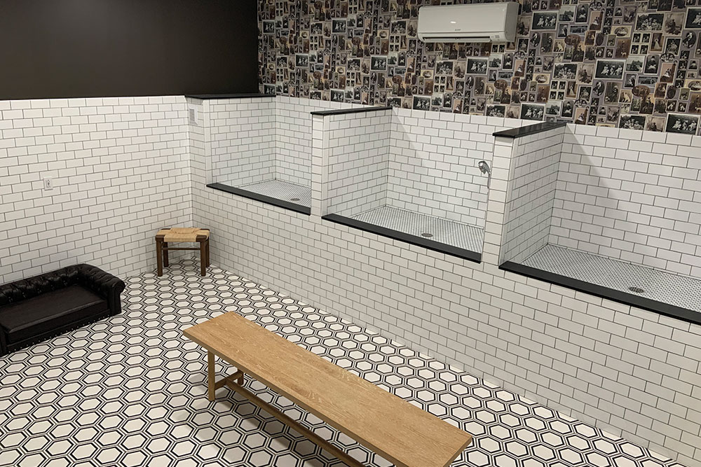 Keeping Fido Clean: Where to Find or Create a Luxury Dog Wash ...