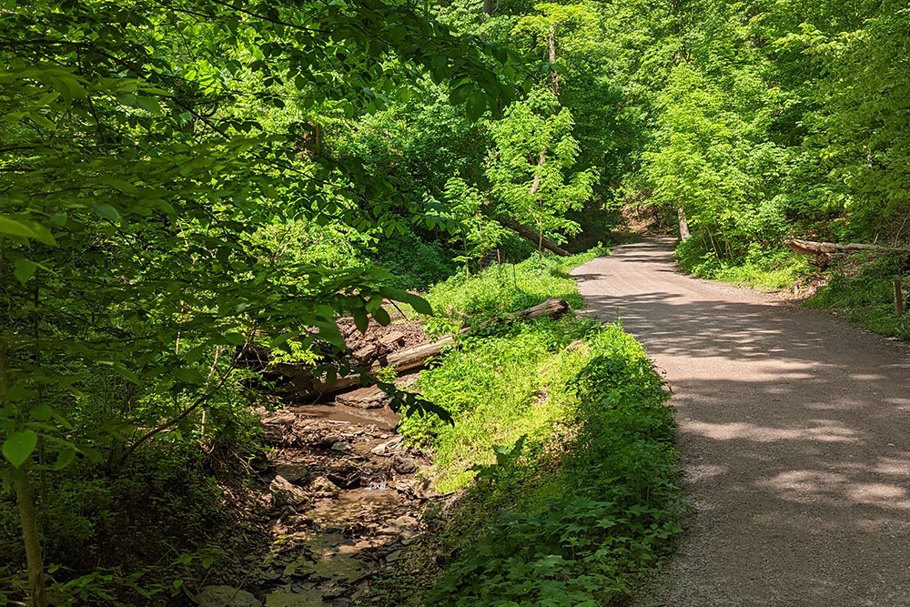 Places We Love: Falls Ravine Trail | Pittsburgh Magazine
