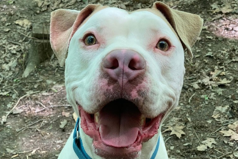 Pittsburgh Magazine | Restaurants, Best of, Entertainment, Doctors ...