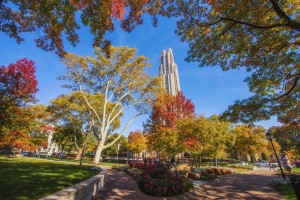 A Leaf Peeper's Paradise: Your Ultimate Guide to Fall Foliage in ...