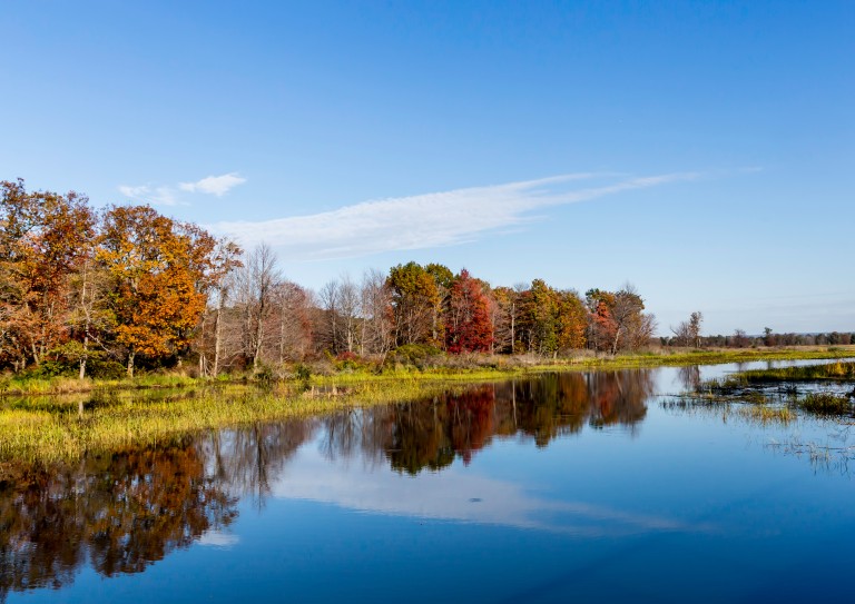 A Leaf Peeper's Paradise: Your Ultimate Guide to Fall Foliage in ...