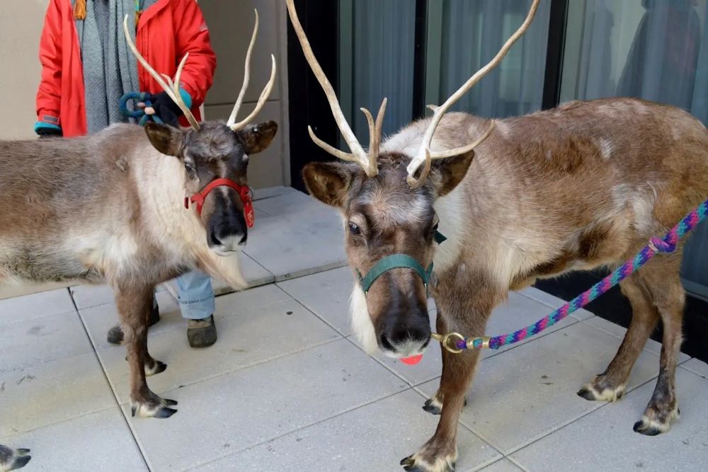 Be Naughty or Nice At These 11 Holiday Pop-Up Bars in Pittsburgh ...