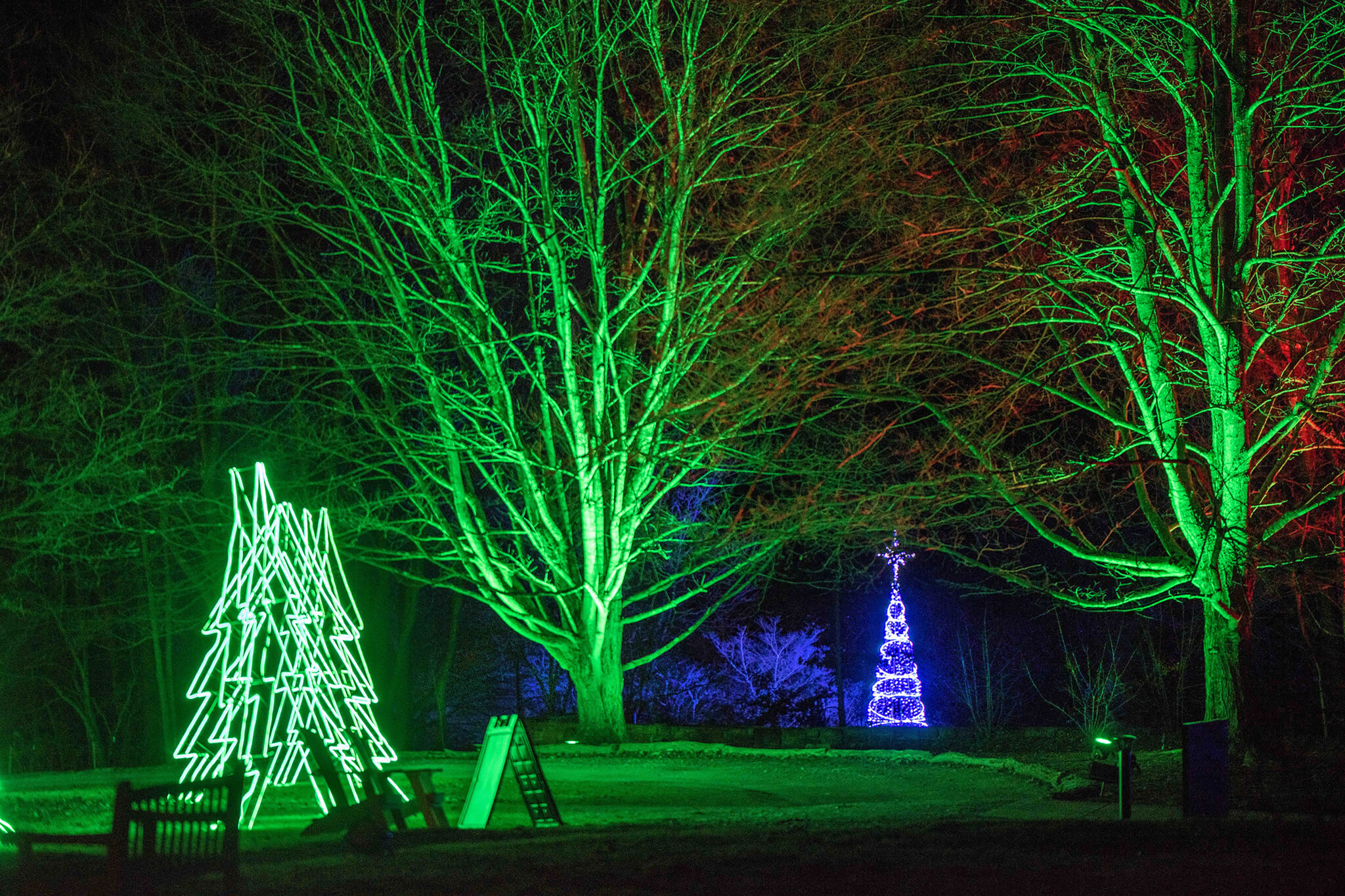 Shining Bright: ‘Dazzling Nights’ Illuminates Pittsburgh Botanic Garden ...