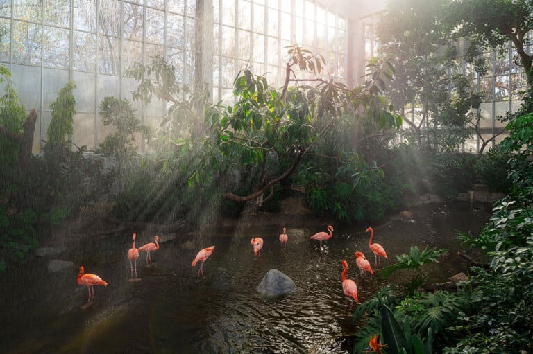 How Are Visitors — And Birds — Reacting To The National Aviary’s New ...