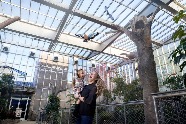 How Are Visitors — And Birds — Reacting To The National Aviary’s New ...