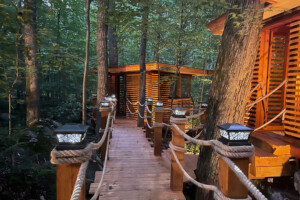 Foodie Road Trip: Where You Can Enjoy Elevated Dining In The Treetops ...