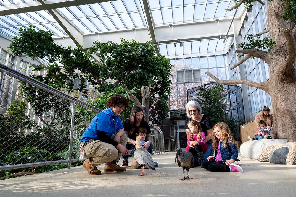 Get Ready For Takeoff During The National Aviary’s Superheroes of the ...