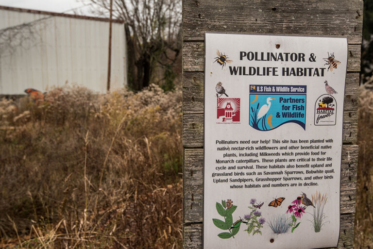 Smitten With Smithton: What's Behind The Revival of This Historic Spot ...