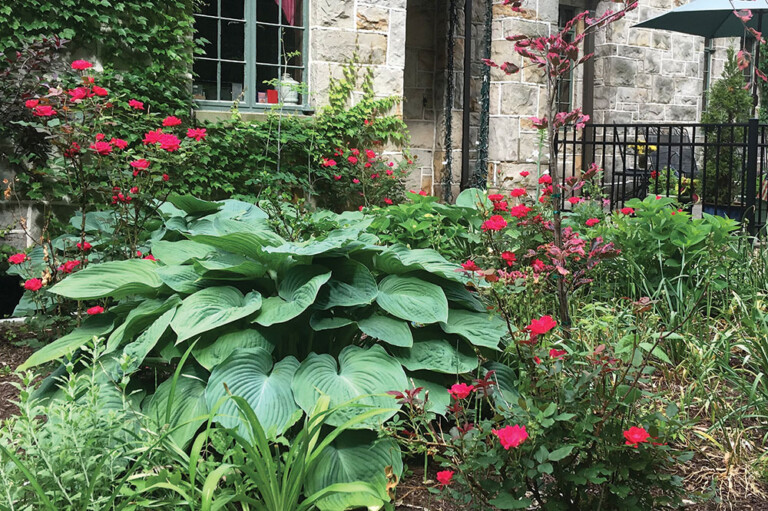 How Margaret Hooten is Creating Special Moments in Her Gardens ...