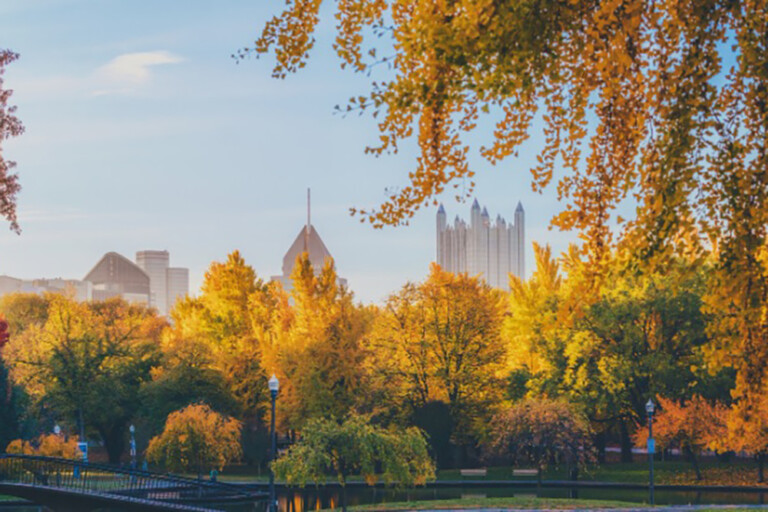 Check Out These Spots for Vibrant Fall Foliage