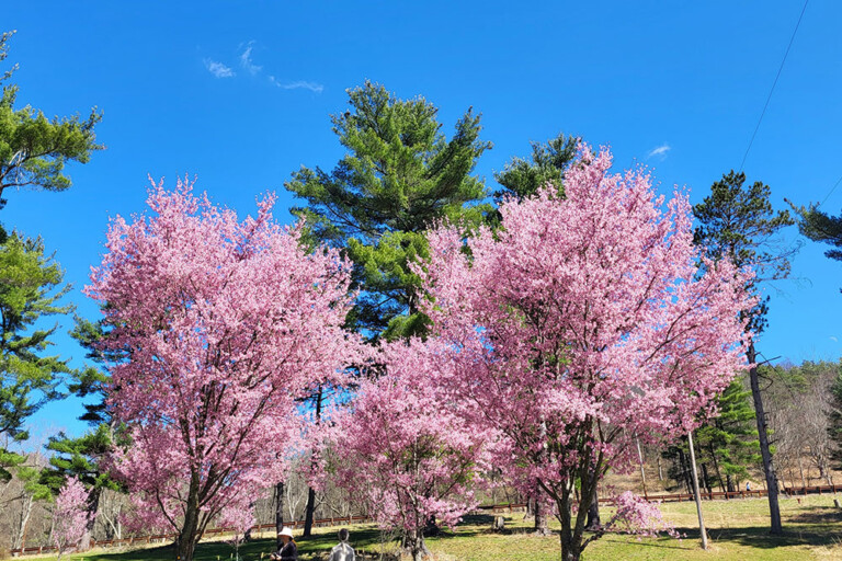 84 Lumber Founder Joe Hardy III Dies on His 100th Birthday | Pittsburgh ...