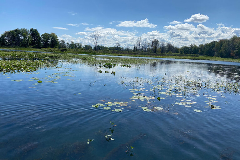 Explore Misery Bay and the Interior Lagoons of Presque Isle State Park ...