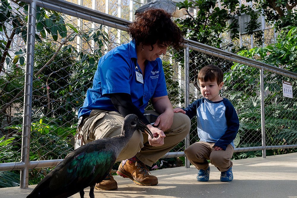 Take Off on a Vibrant Adventure with the National Aviary During 'Colors in Flight'! | Pittsburgh ...