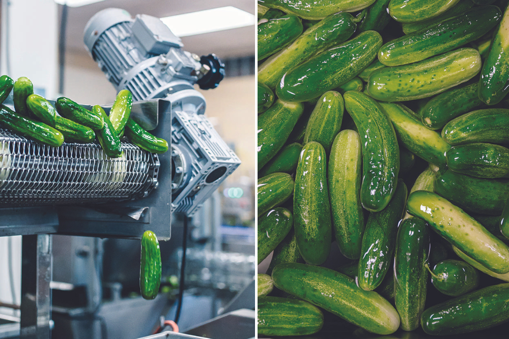 The Brothers Behind Pittsburgh Pickle Co. Are the Undisputed Pickle Kings