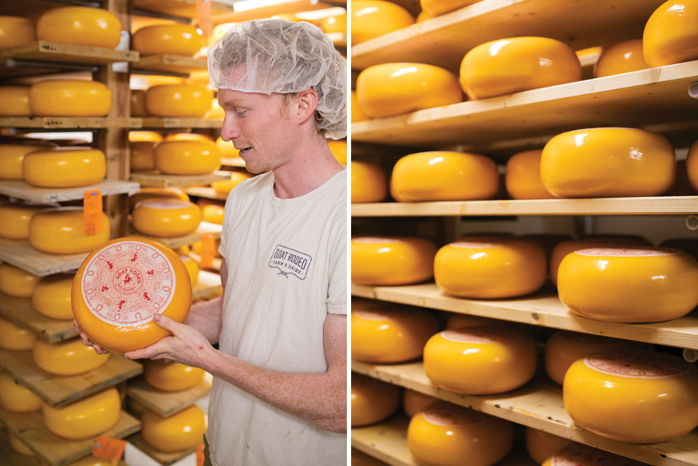 Say Cheese! Goat Rodeo Farm & Dairy Produces Award-Winning Cheeses With ...