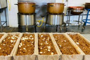 Spectrum Fudge Makes Life Sweeter for Folks With Autism