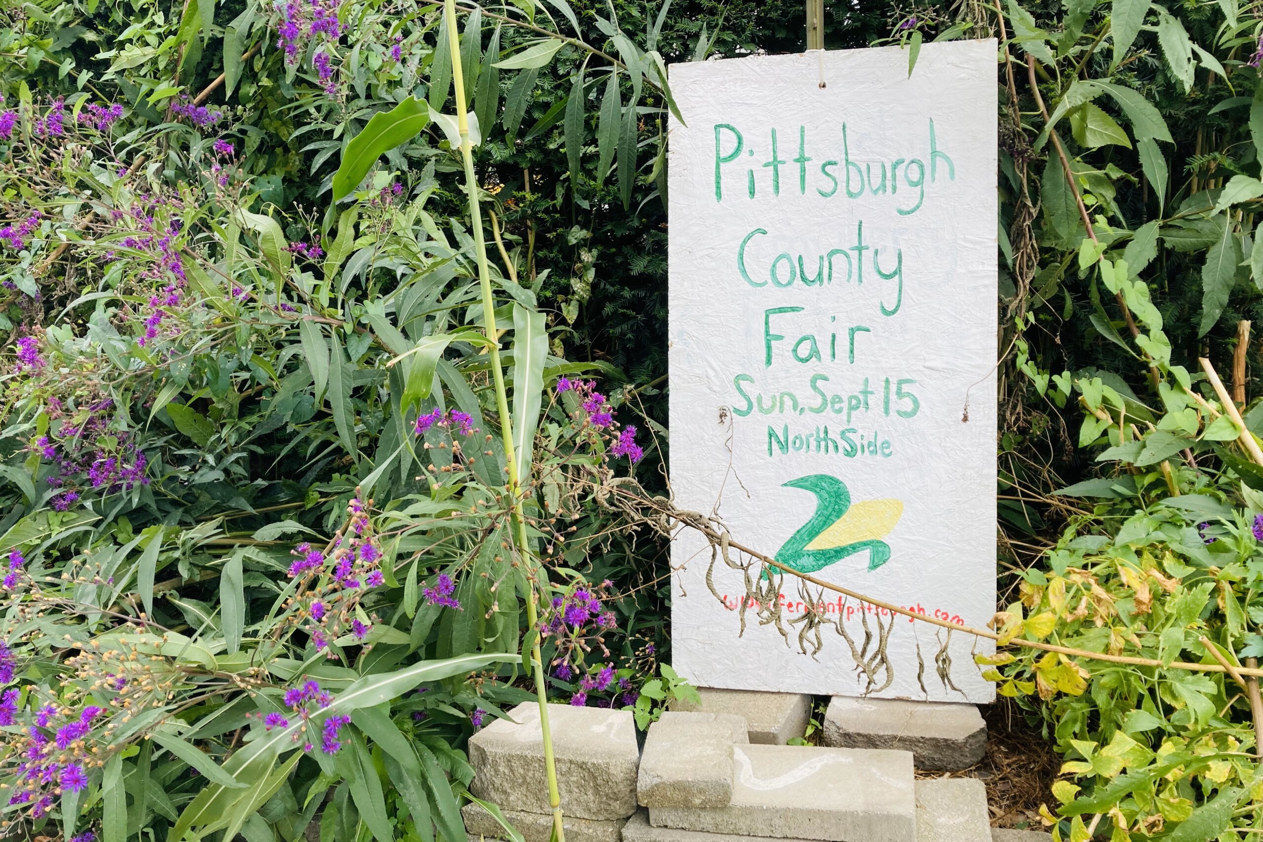 Pittsburgh County Fair Highlights Everything Homegrown and Homemade