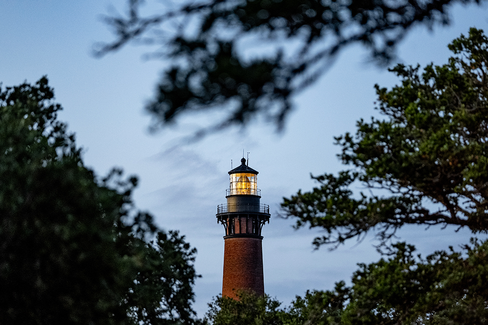 Where in the OBX Can You See Wild Horses and Dolphins in the Same Place?