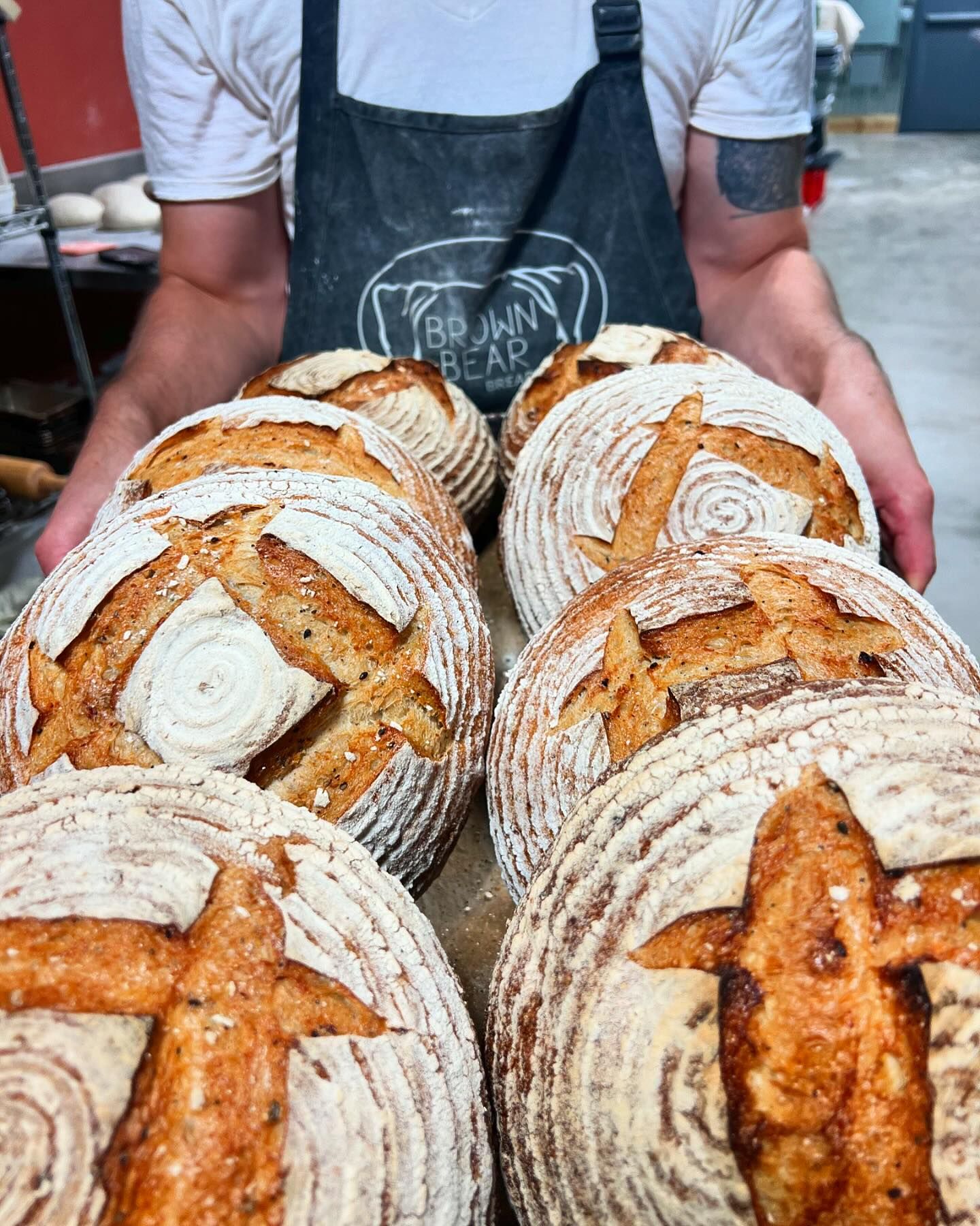 Brown Bear Bread Co. Makes a New Start in New Brighton