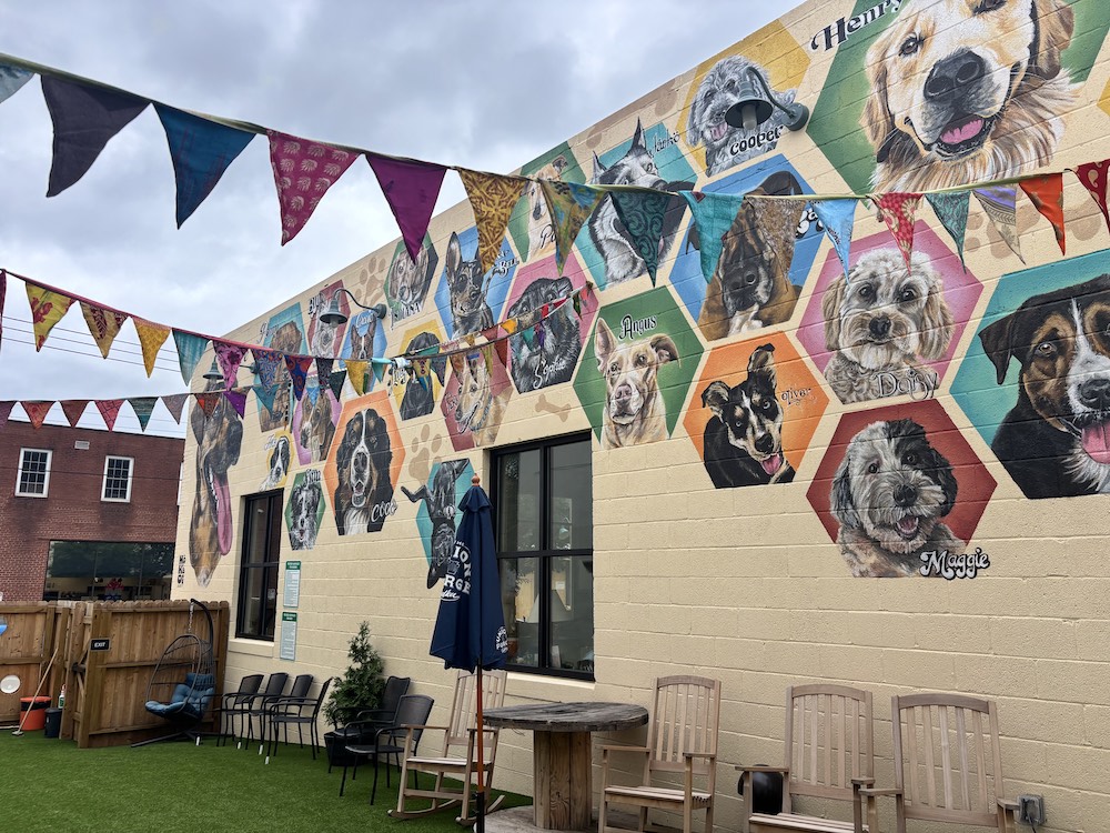 A Coffee Shop and Bar With an Off-Leash Dog Park Opens in Pittsburgh ...