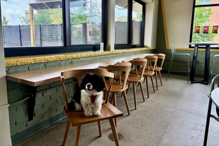 A Coffee Shop and Bar With an Off-Leash Dog Park Opens in Pittsburgh ...