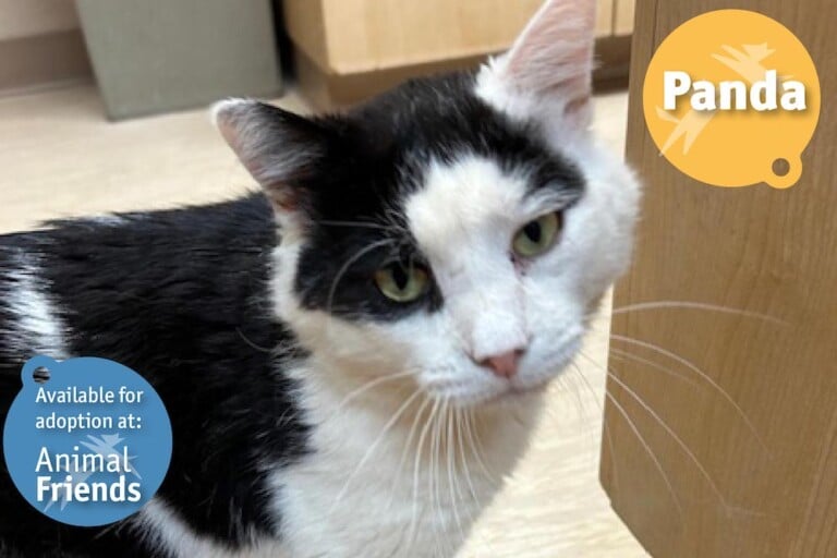 Where to Eat Now (and soon) at The Terminal in Pittsburgh’s Strip ...